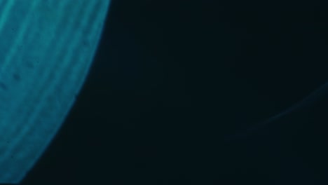 Free Blue Film videos in HD and 4K to download | Freepik