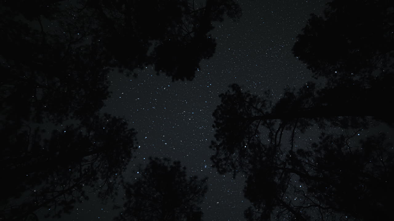 Premium stock video - 4k night sky time lapse with stars overhead and ...