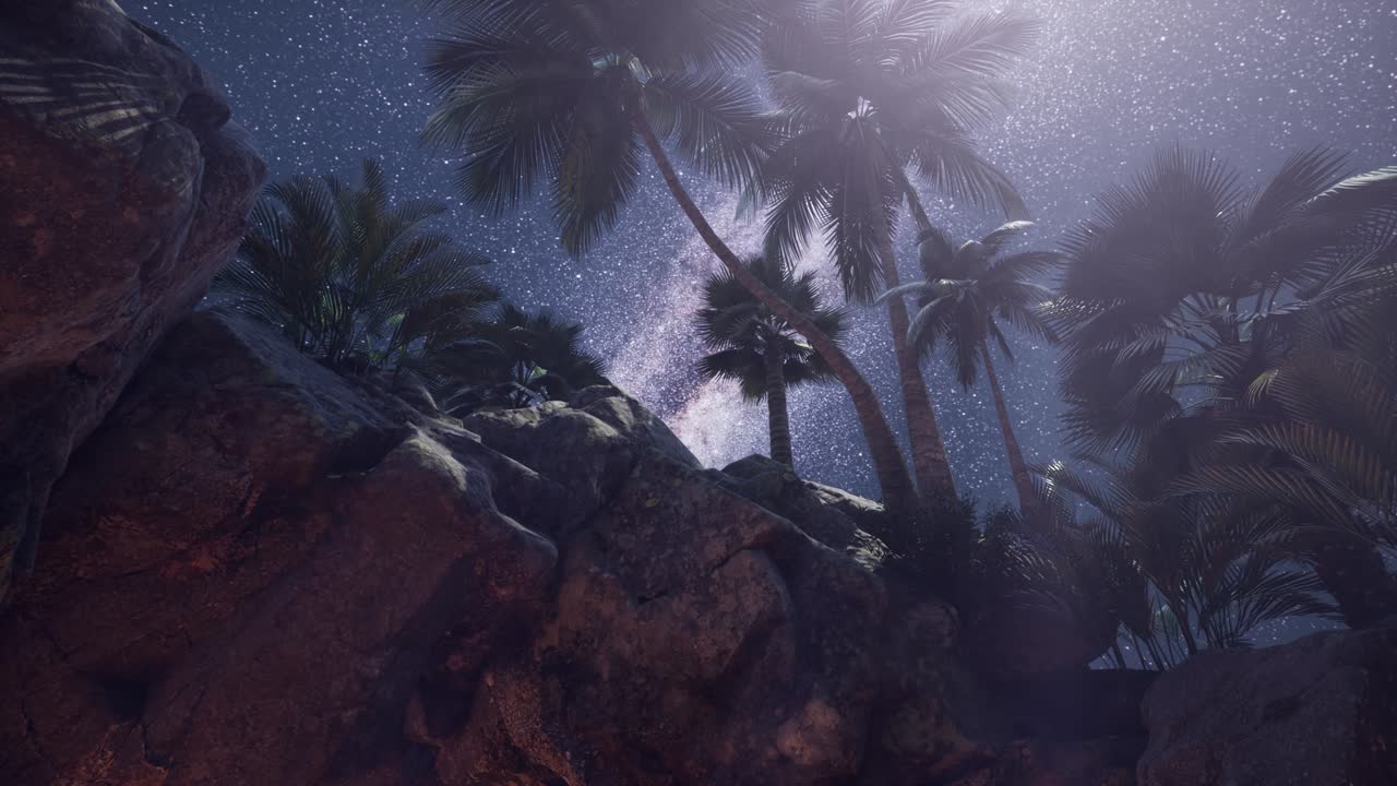 4K hyperlapse star trails over sandstone canyon walls and palms ...