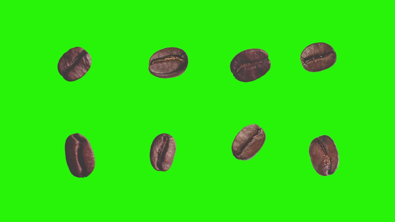 Realistic coffee beans animation graphic element on green screen chroma ...
