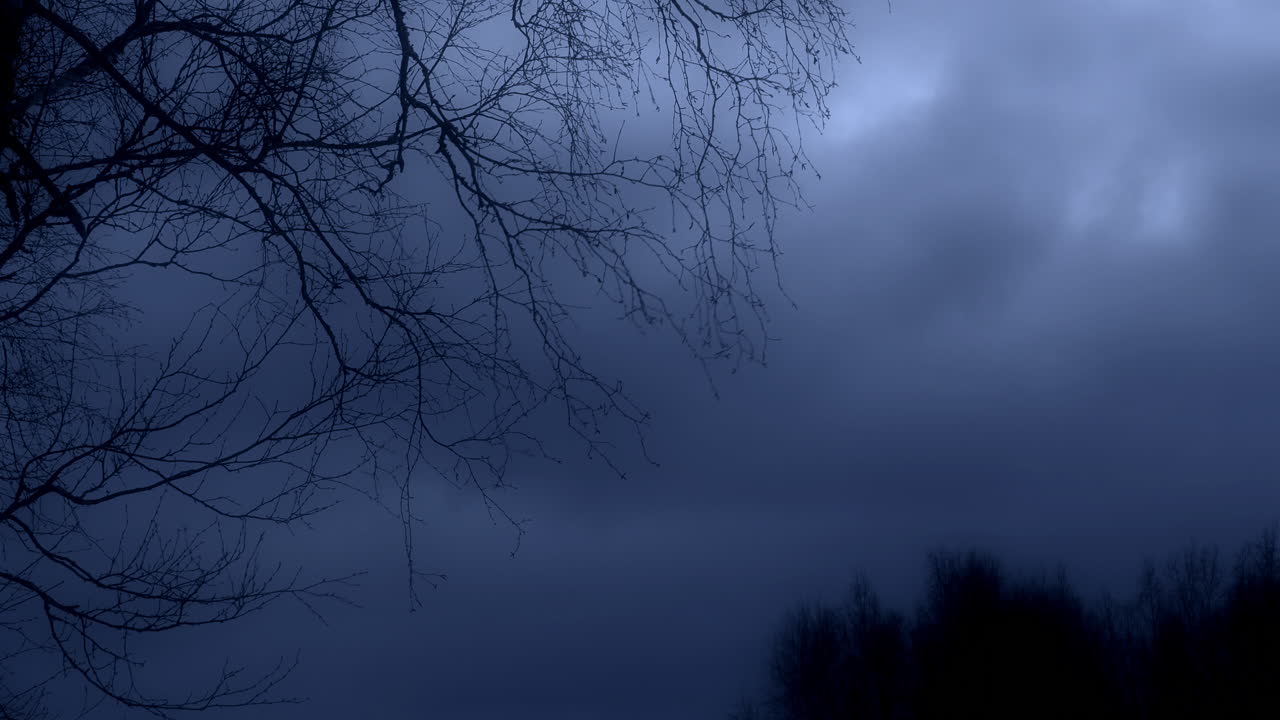 Vidéo de stock Premium - Tempête nocturne effrayante avec des branches ...