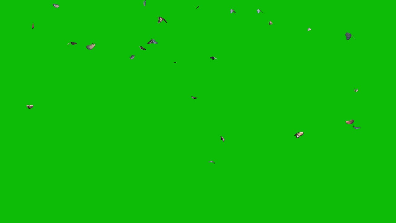 Premium stock video - Visual effects, vfx, butterflies flying from ...