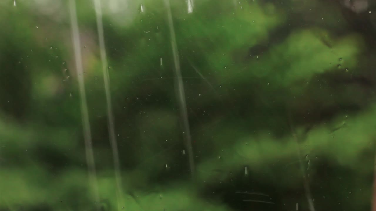 Heavy Rain Outside The Window With Strong Winds Blowing The Branches Of ...