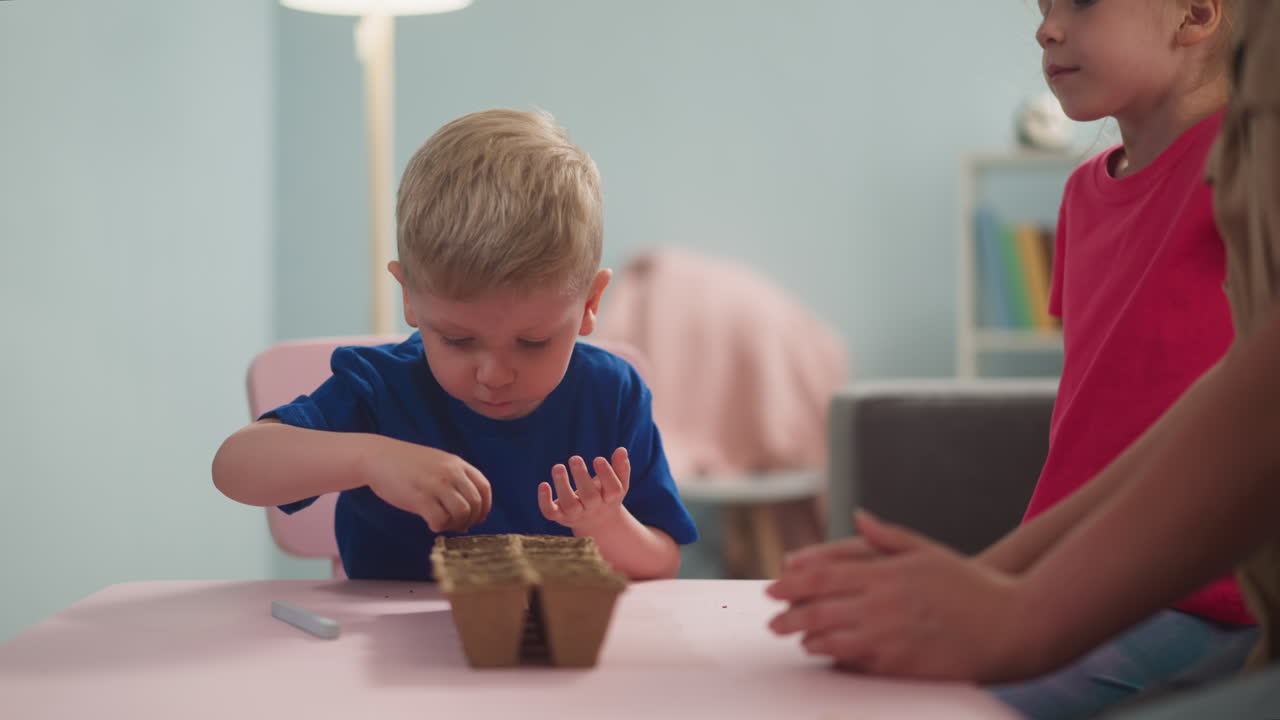 Curious Boy Puts Seeds With Mother Help And Bored Sister Free Stock ...