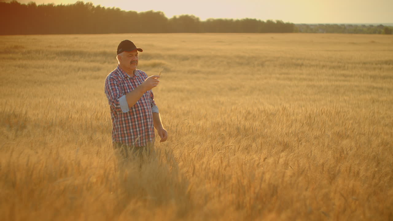 Premium stock video - An elderly farmer man in a shirt and baseball cap ...
