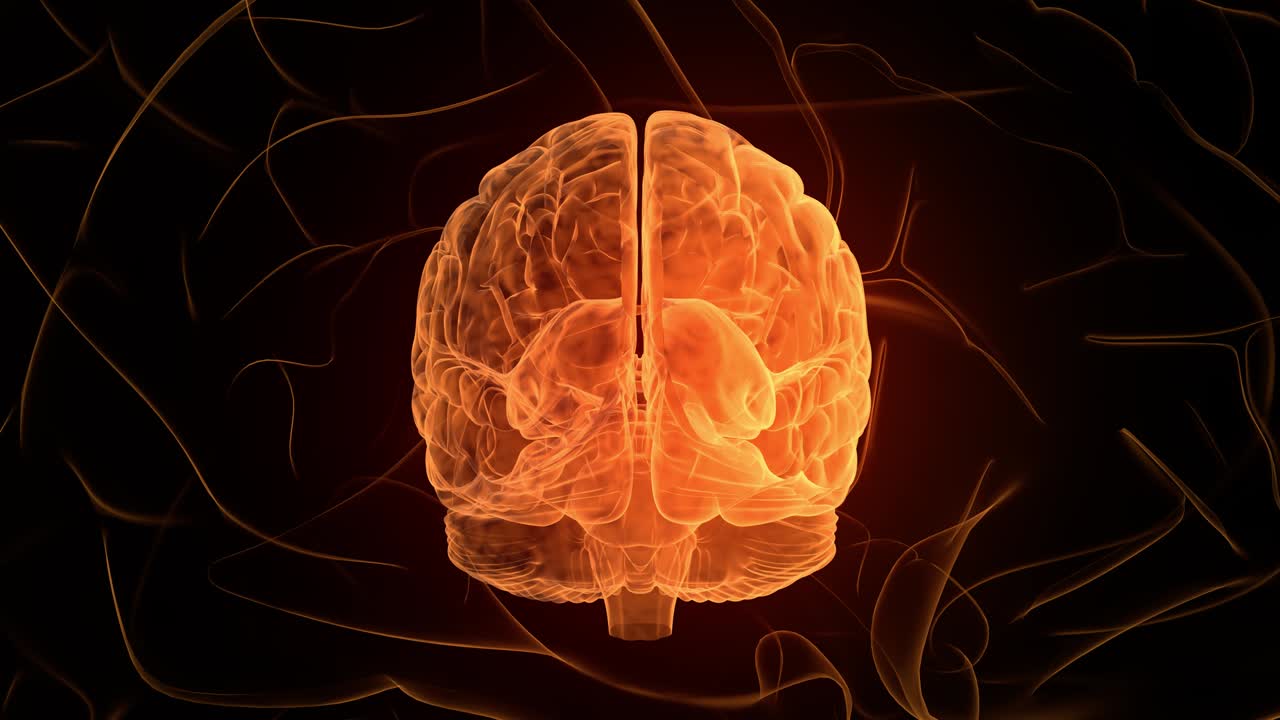 Orange Brain. Abstract digital human brain. Neural network. IQ testing ...