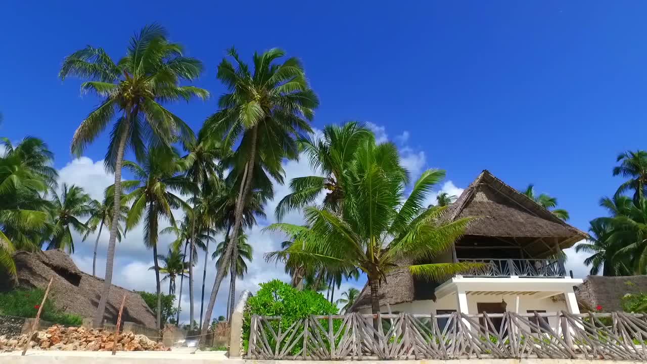 Traditional palapa house surrounded by coconut palm on white sand at ...