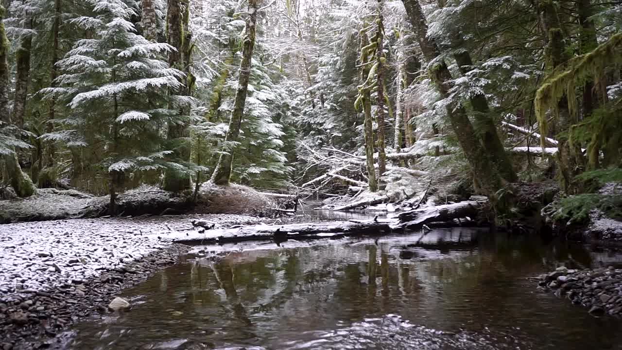 Calm River Outflow In The Snow Free Stock Video Footage Download Clips ...