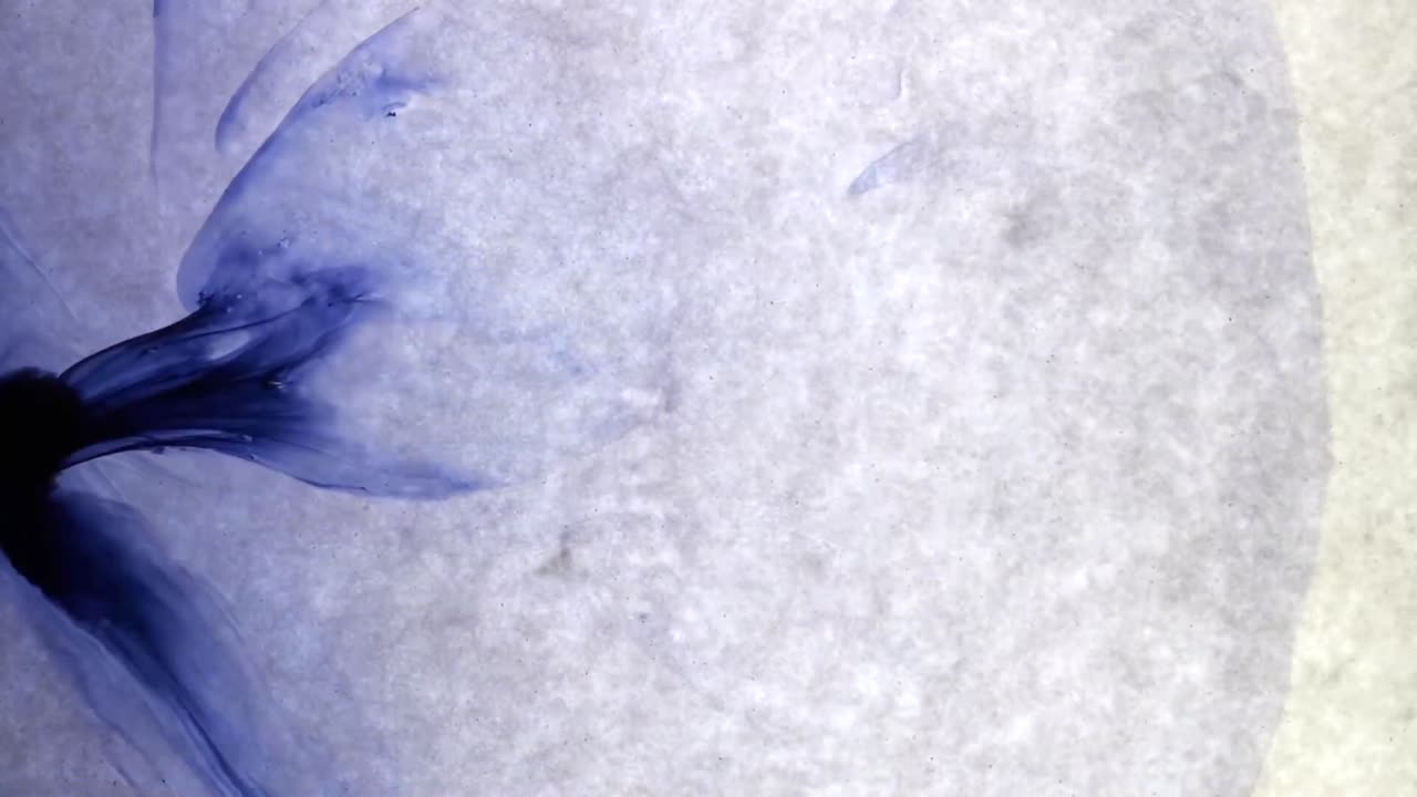 Intro Abstract Background Design Animated Texture Motion Graphic Style ...