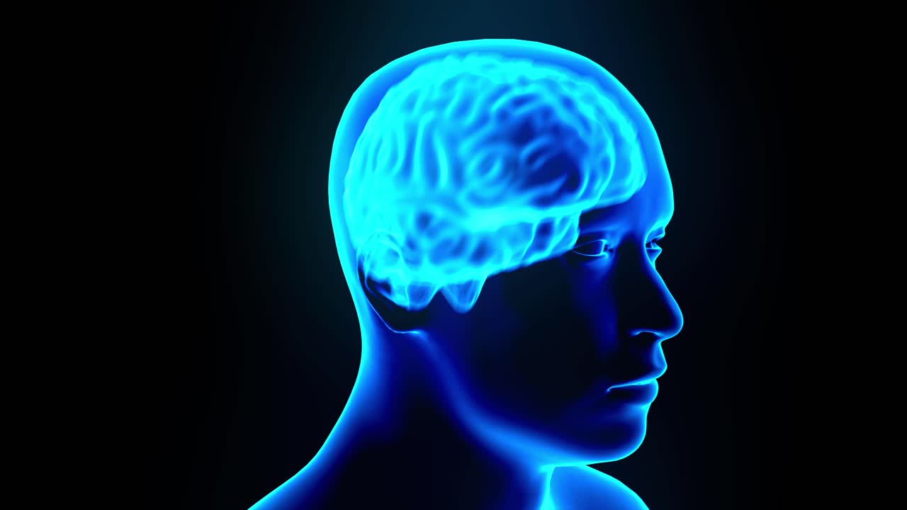Free stock video - Brain hologram rotating sparks lightning electricity ...