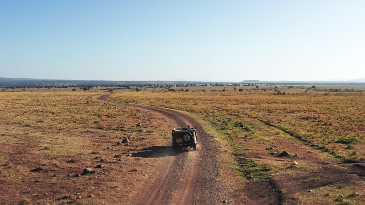 Aerial drone shot of Wildlife Photographer Driving Safari Vehicle in ...