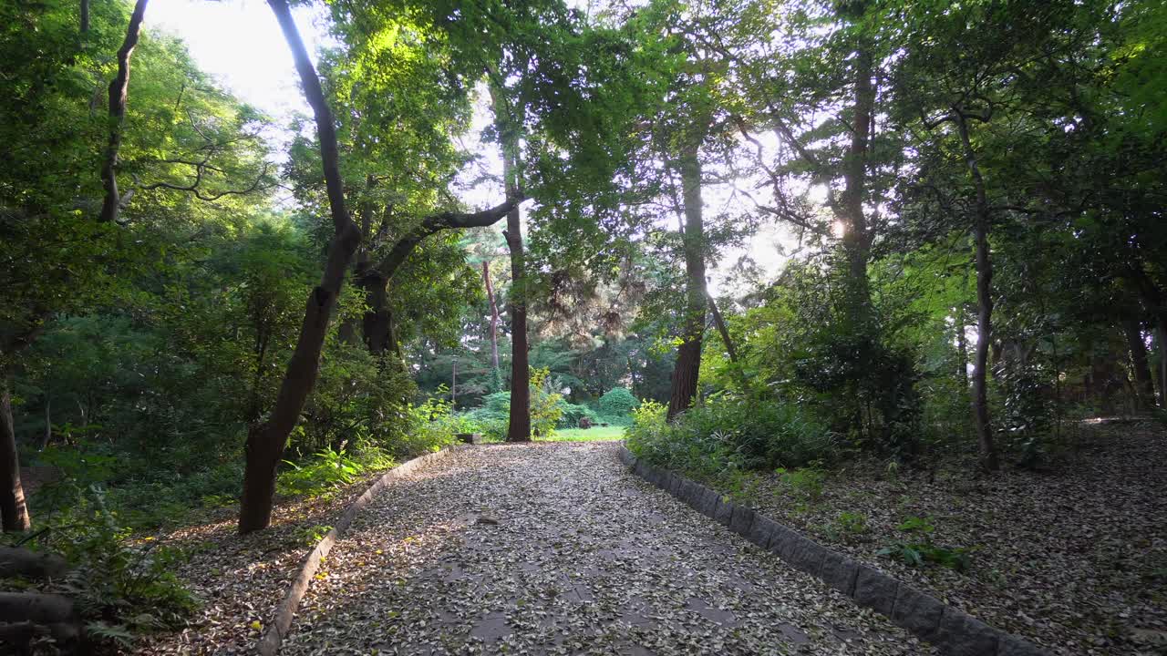 Tokyo's Shakuji Park Is Full Of Beautiful Paths Where One Can Go For A ...