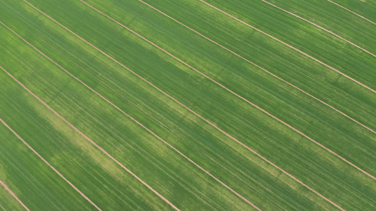 Free stock video - Top aerial graphic geometrical pattern lines in ...
