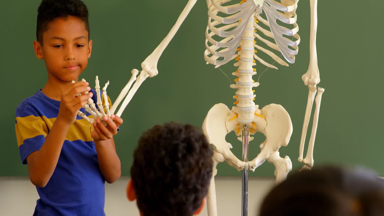 Mixed-race Schoolboy Explaining Skeleton Model In Classroom At School ...