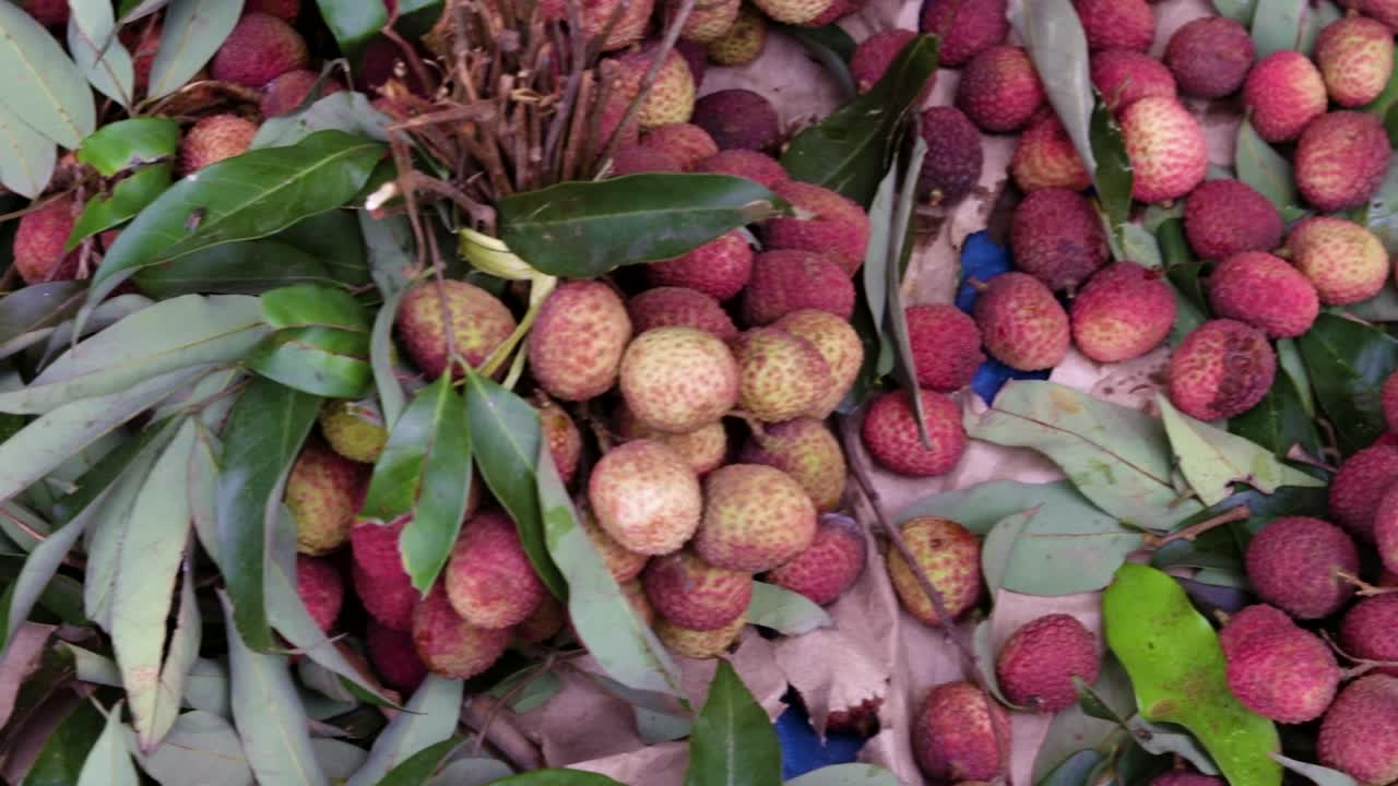 Fresh organic bunch of litchi from farm close up from different angle ...