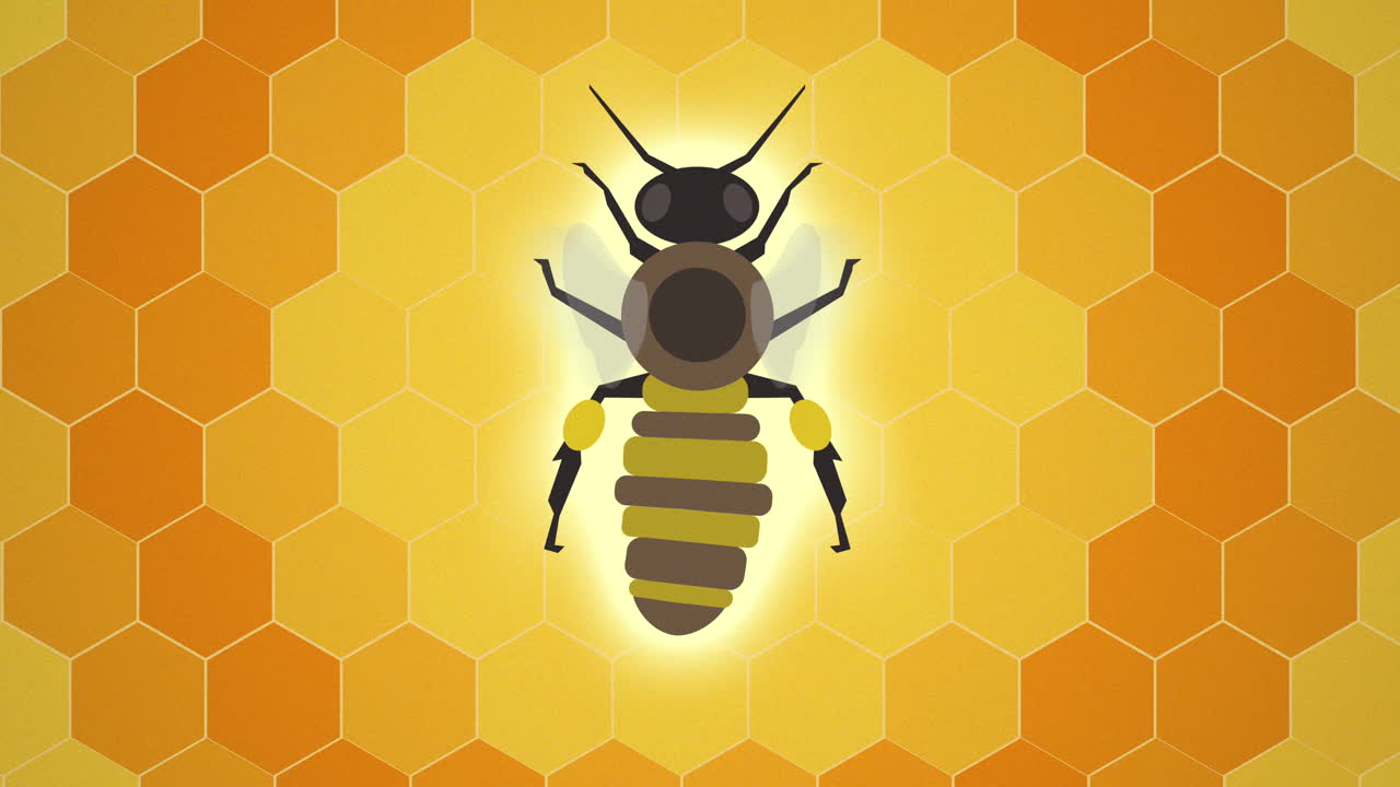 Honey Bee Hovering Over Pulsing Pattern Of Hexagonal Honeycomb ...