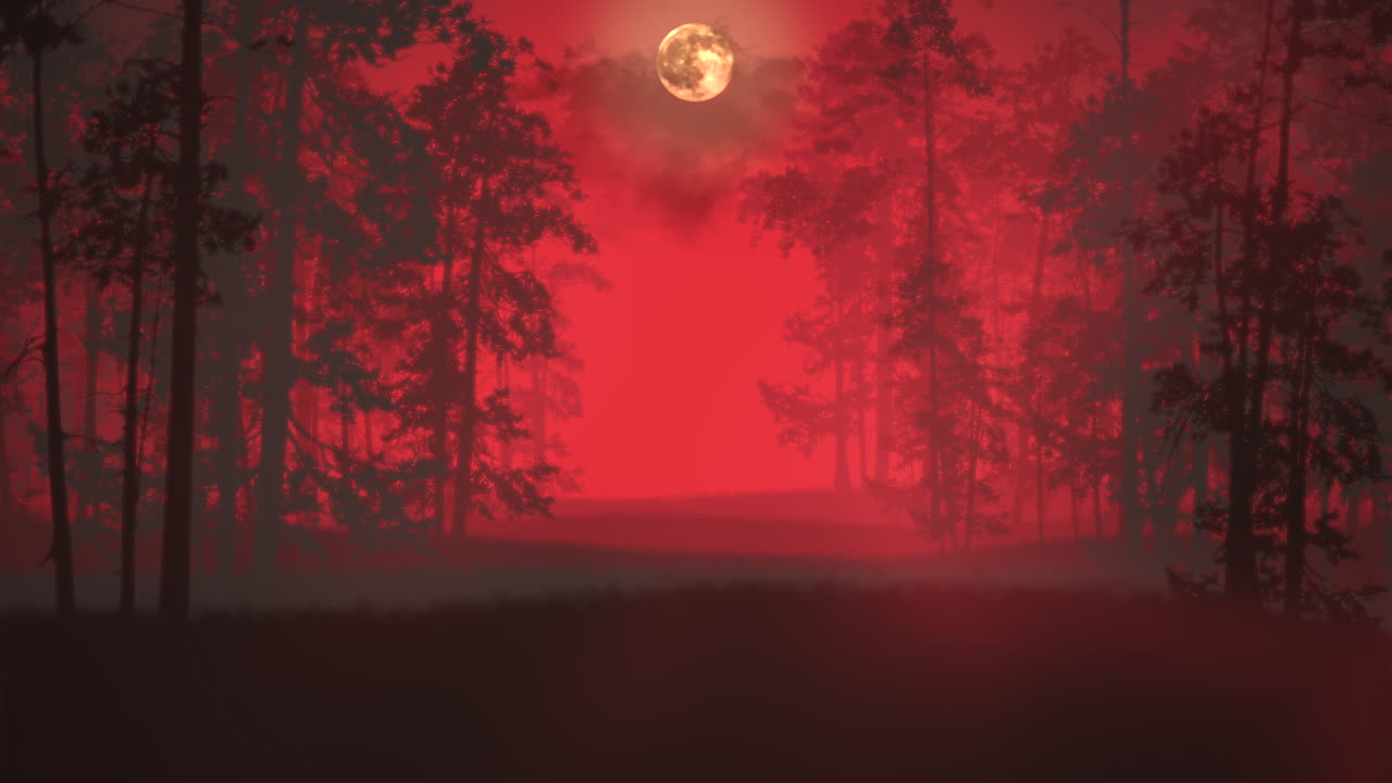Premium stock video - Mystical horror background with dark blood forest ...