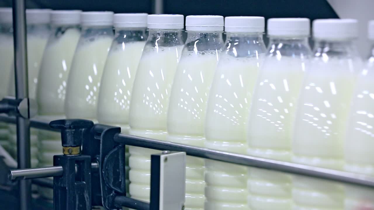 Vídeo Premium - Línea de transporte de la fábrica de leche. línea de ...