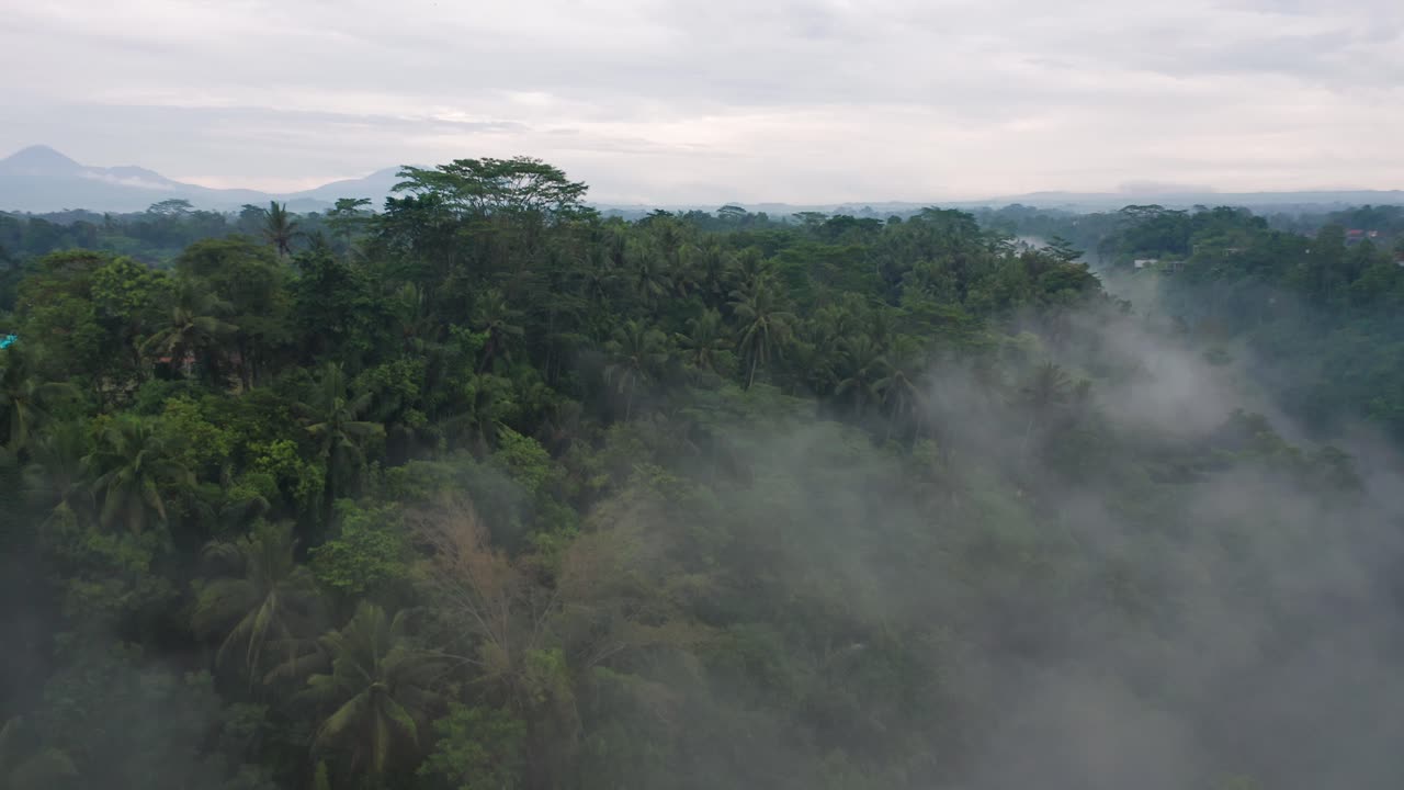 Rising From Tropical Jungle Valley With Fog Revealing Bali Rural Town ...