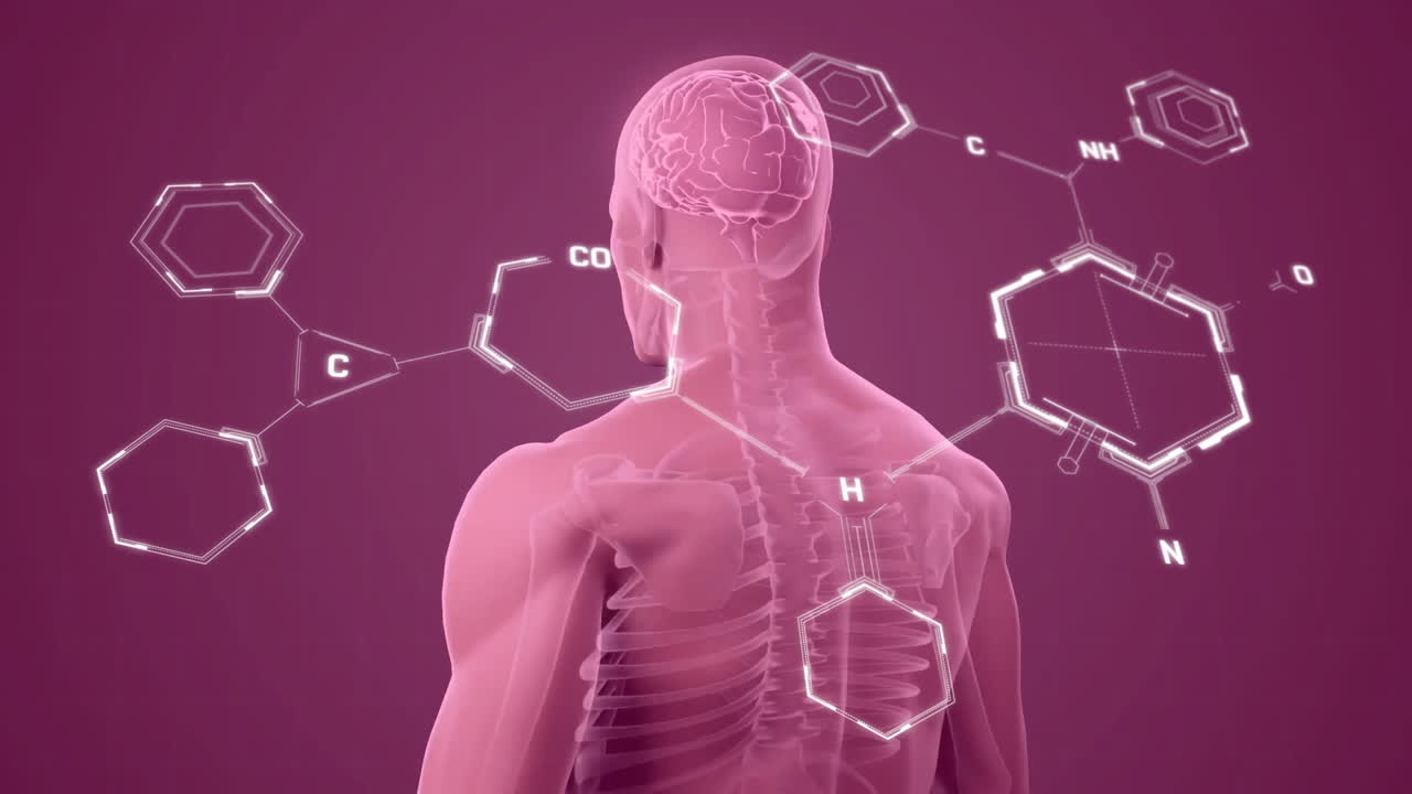 Premium stock video - Animation of chemical formula over digital human