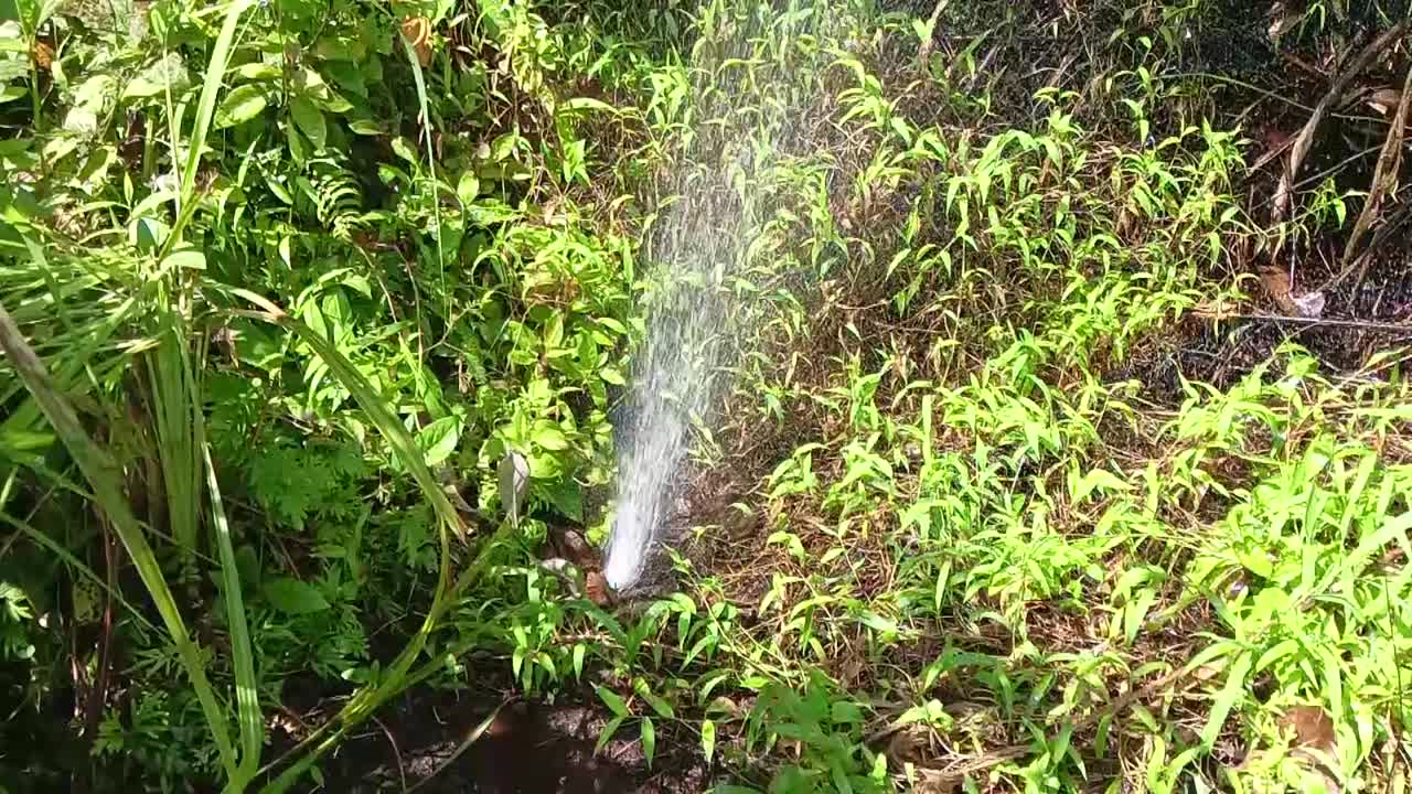 A leaking hose pipe gushed out ground water | Premium Stock Video Footage