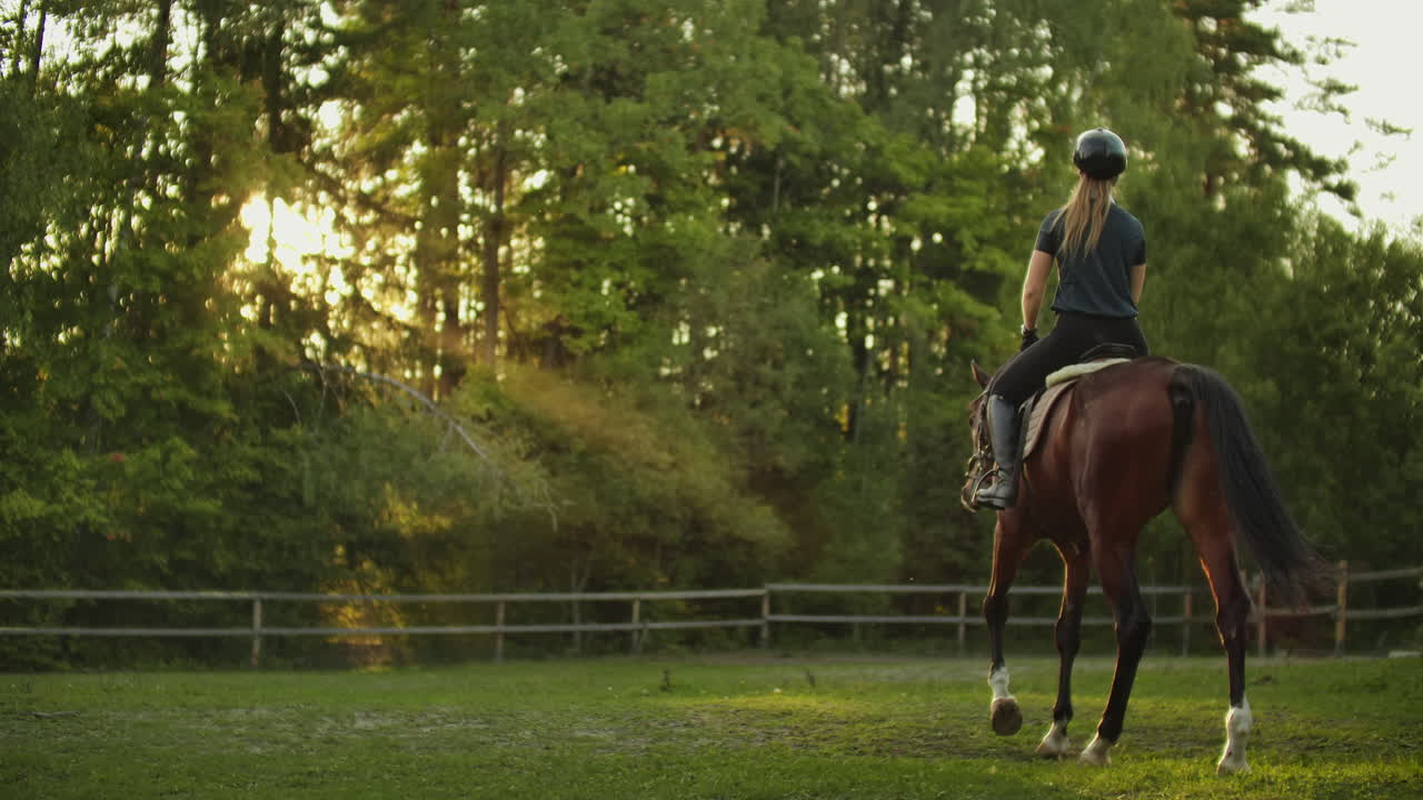 This is the best view on professional horseback riding. young women is ...