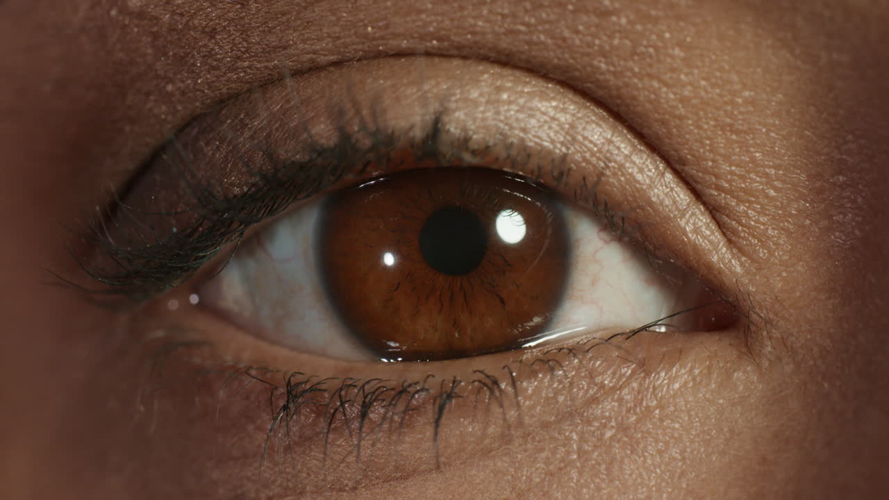 Close up macro brown eye opening blinking natural human beauty healthy ...