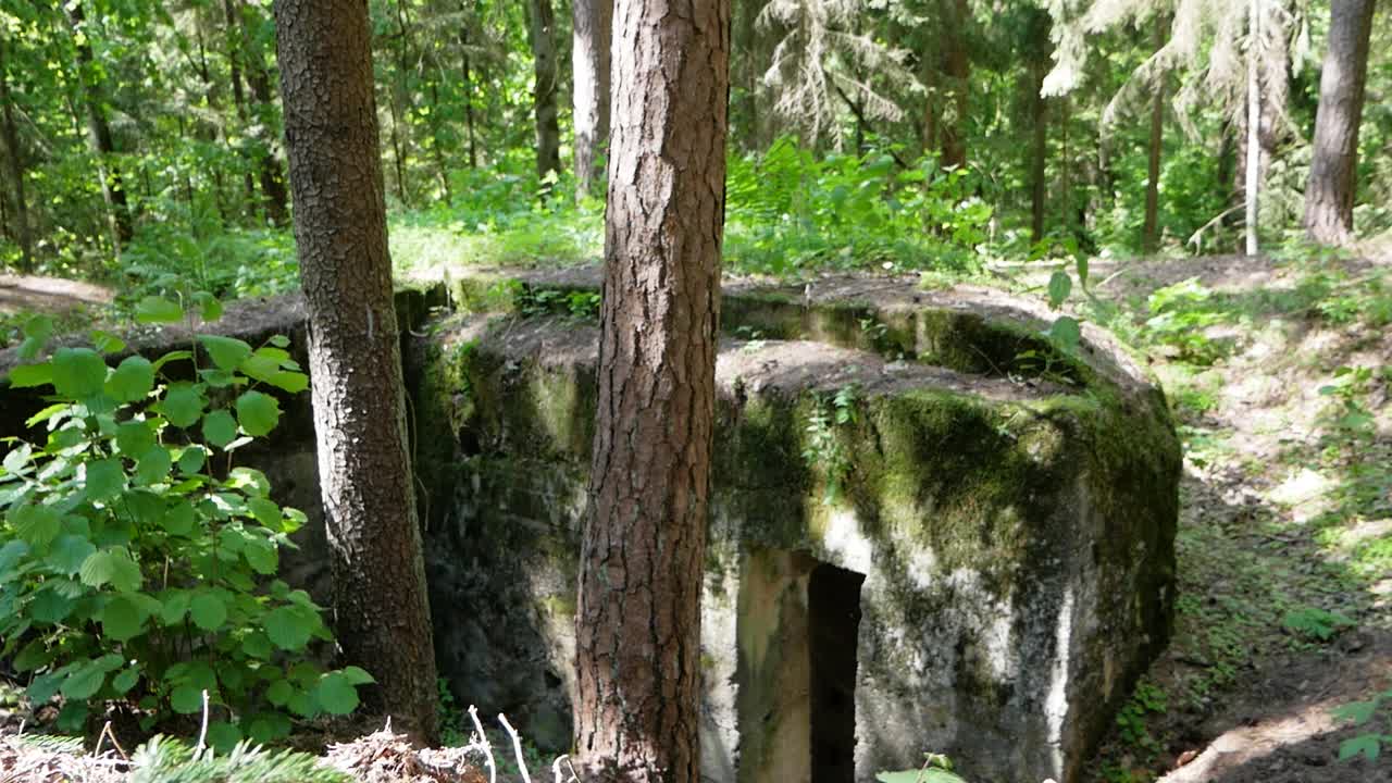 Abandoned Second World War Concrete Bunker Hidden In Beautiful Green ...