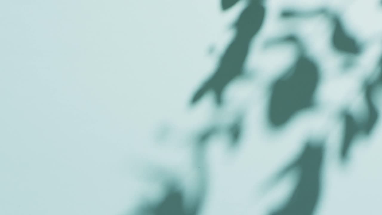 Premium stock video - Animation of twigs with leaves moving with copy ...