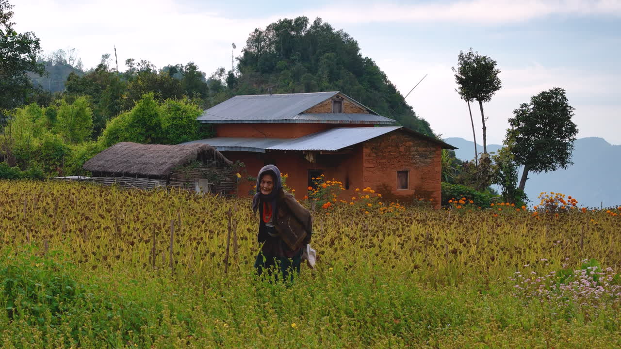 Premium stock video - Nepali village grandmother in millet farm and ...