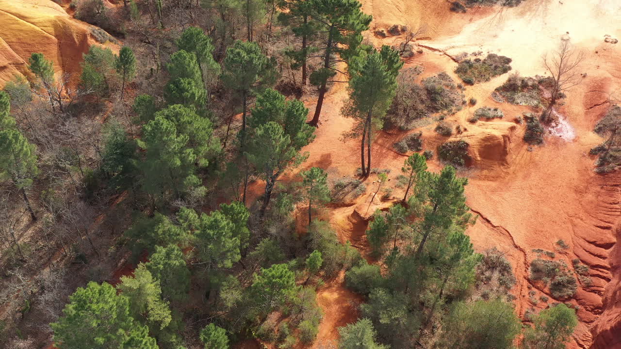 Free stock video - Pine trees aerial view red soil ochre france ...