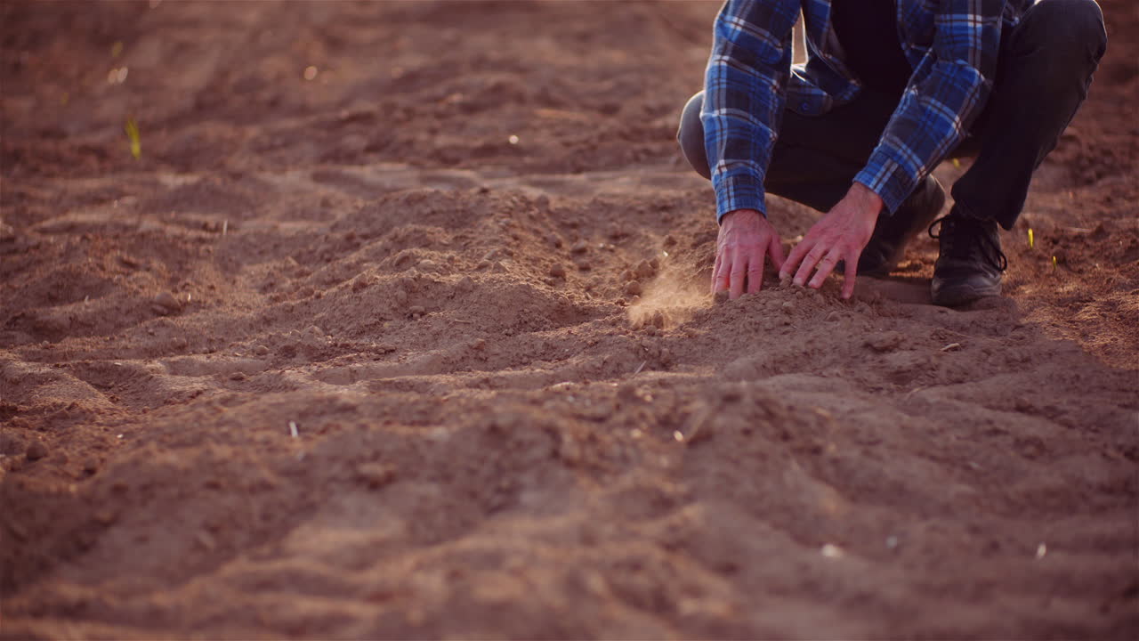 Premium stock video - Soil agriculture farmer hands holding and pouring ...