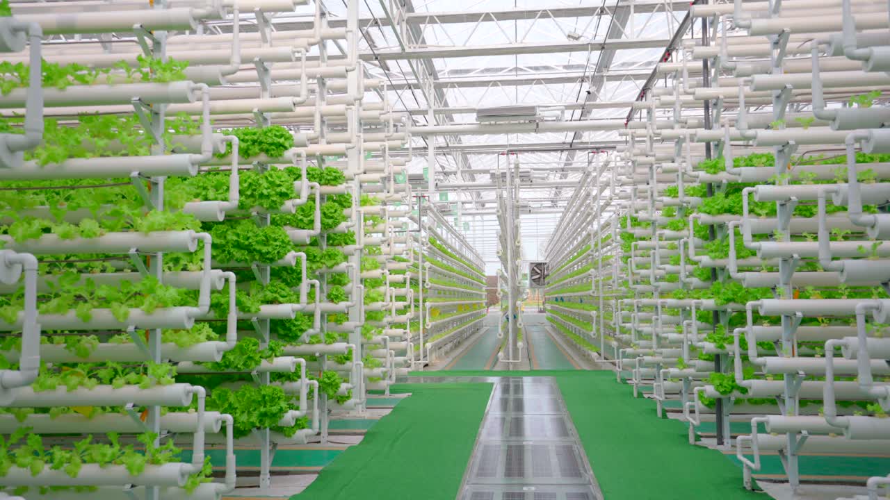 Science and technology agriculture，Greenhouse，Green vegetables in ...