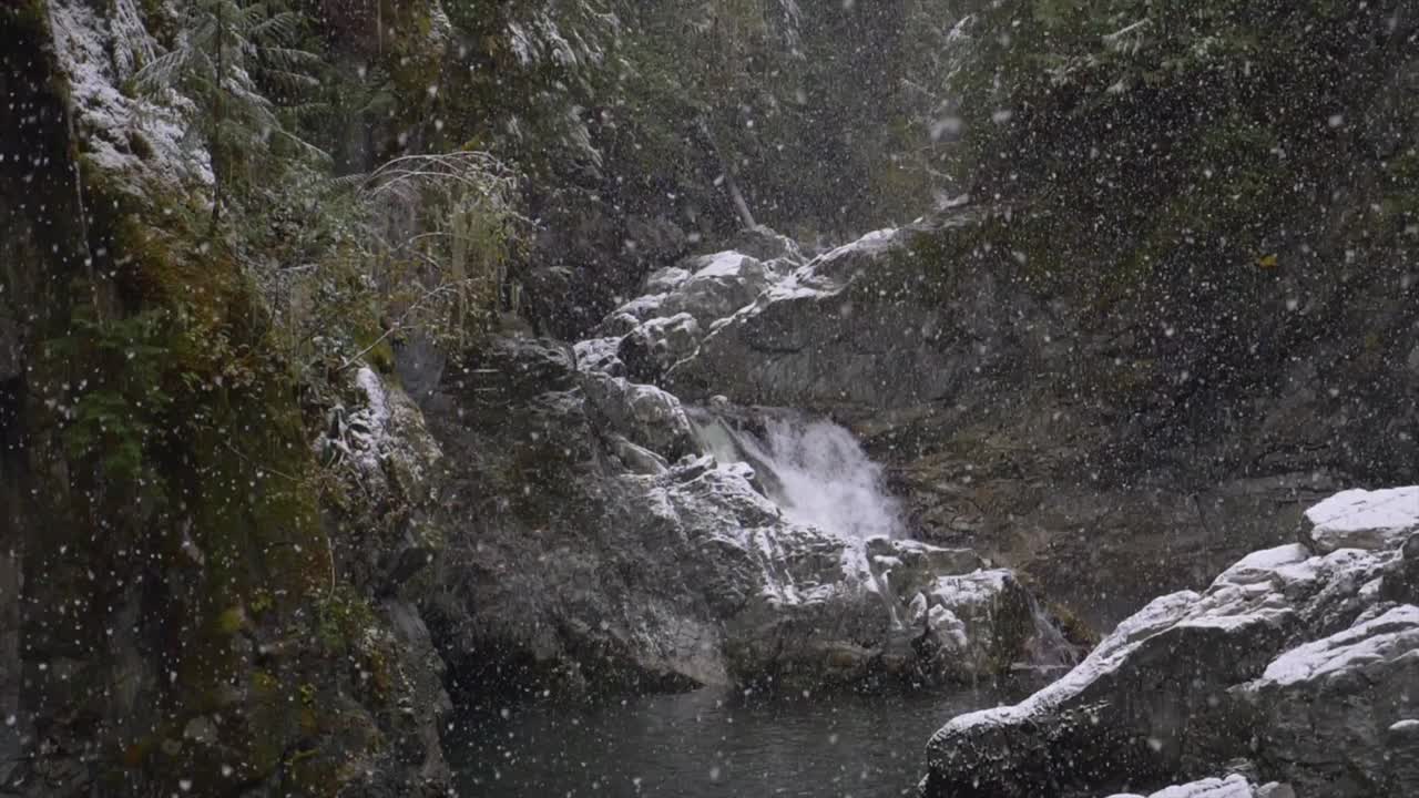 Premium stock video - Cinematic slow motion of a snow falling on ...