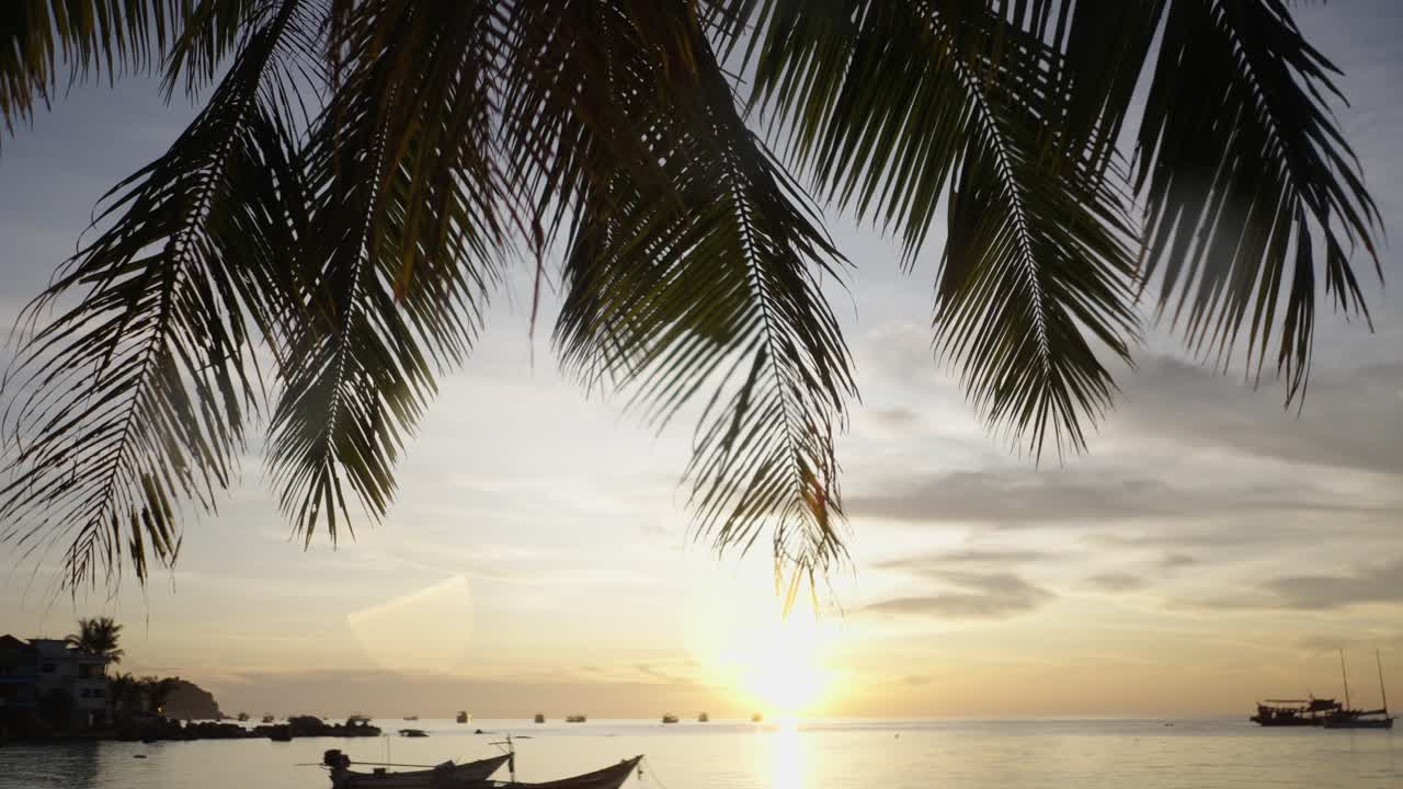 Tropical Sunset Beach with Boats and Swimmers | Premium Stock Video Footage