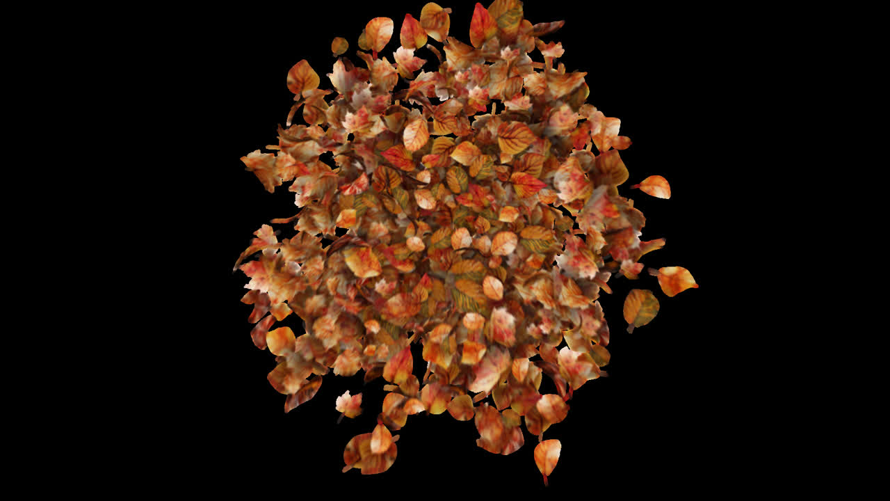 Autumn Leaves Burst Element on Transparent Background | Premium Stock ...