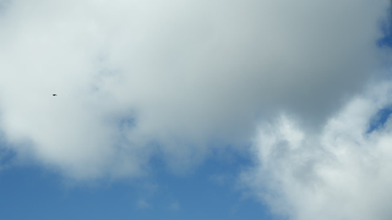 Premium stock video - Time lapse of white fat clouds moving past blue sky