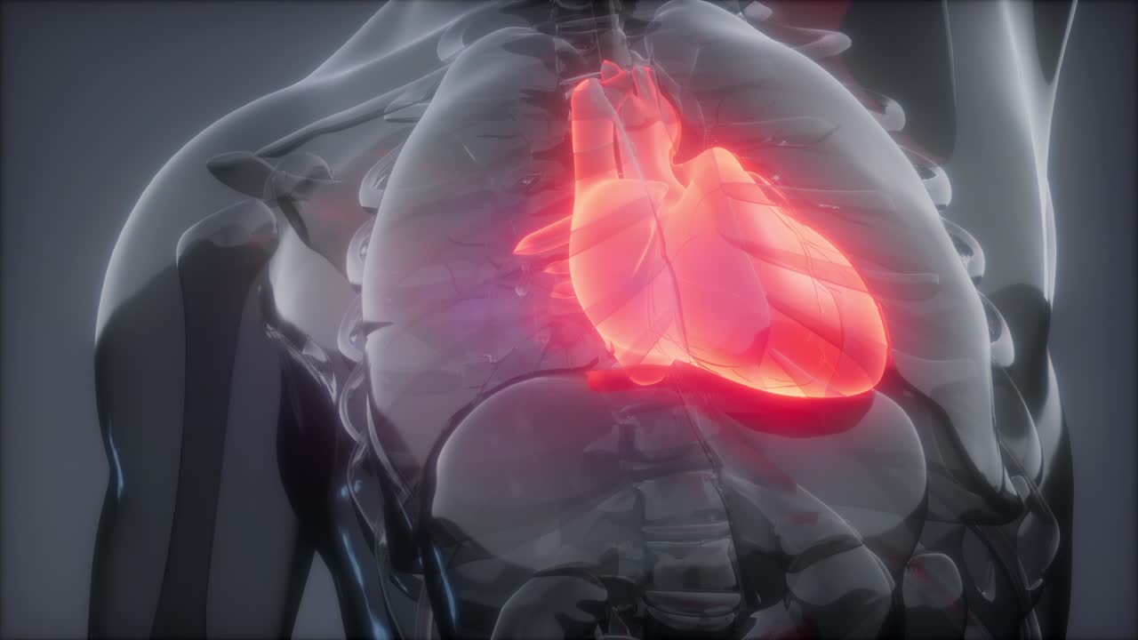 Human heart radiology exam Premium Stock Video Footage