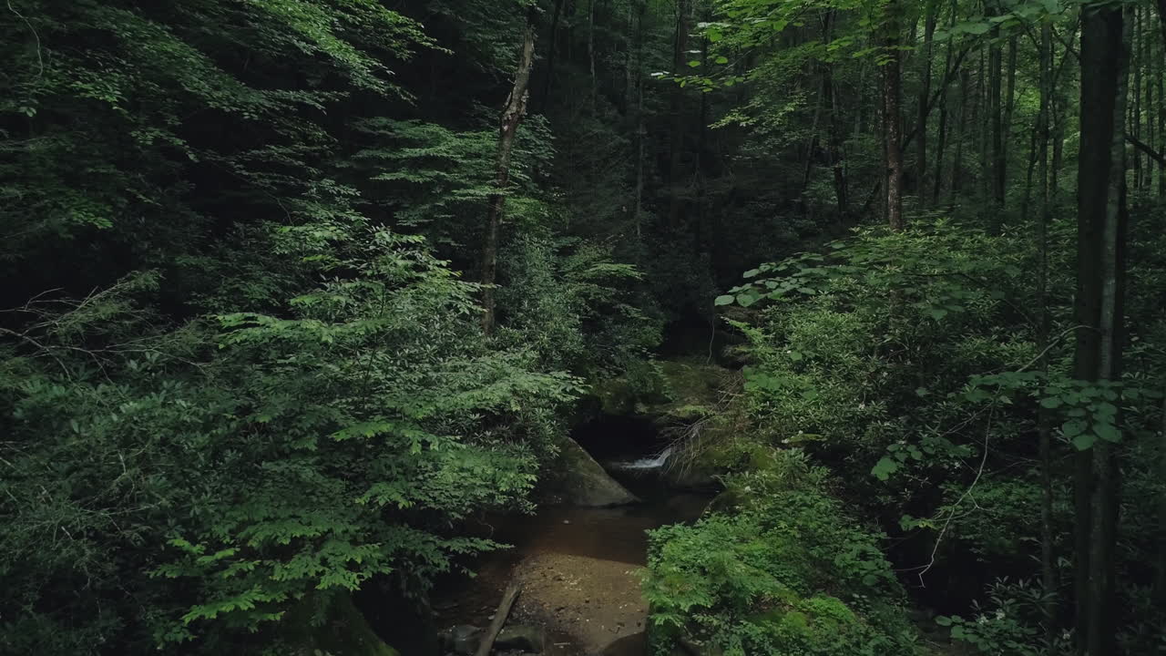 Overhead Aerial Moves Past Man Crossing Bridge Over Stream In Dense ...