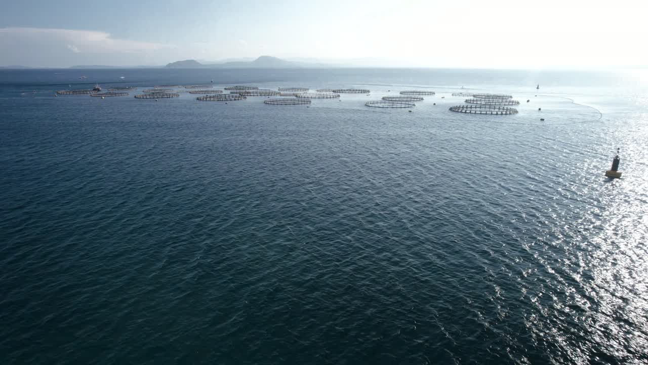 Aerial Approach To The Huge Sea Bass And Sea Bream Farm With Net ...