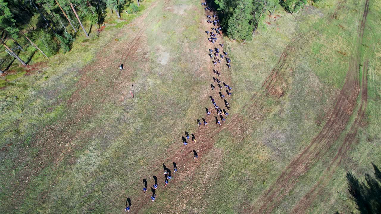 Premium stock video - A group of hikers walk through a grassy clearing ...
