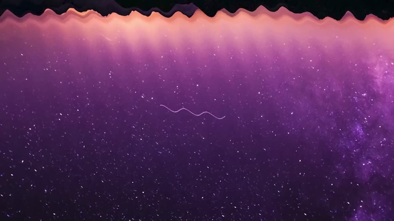 Premium stock video - Intro abstract background design animated wave ...