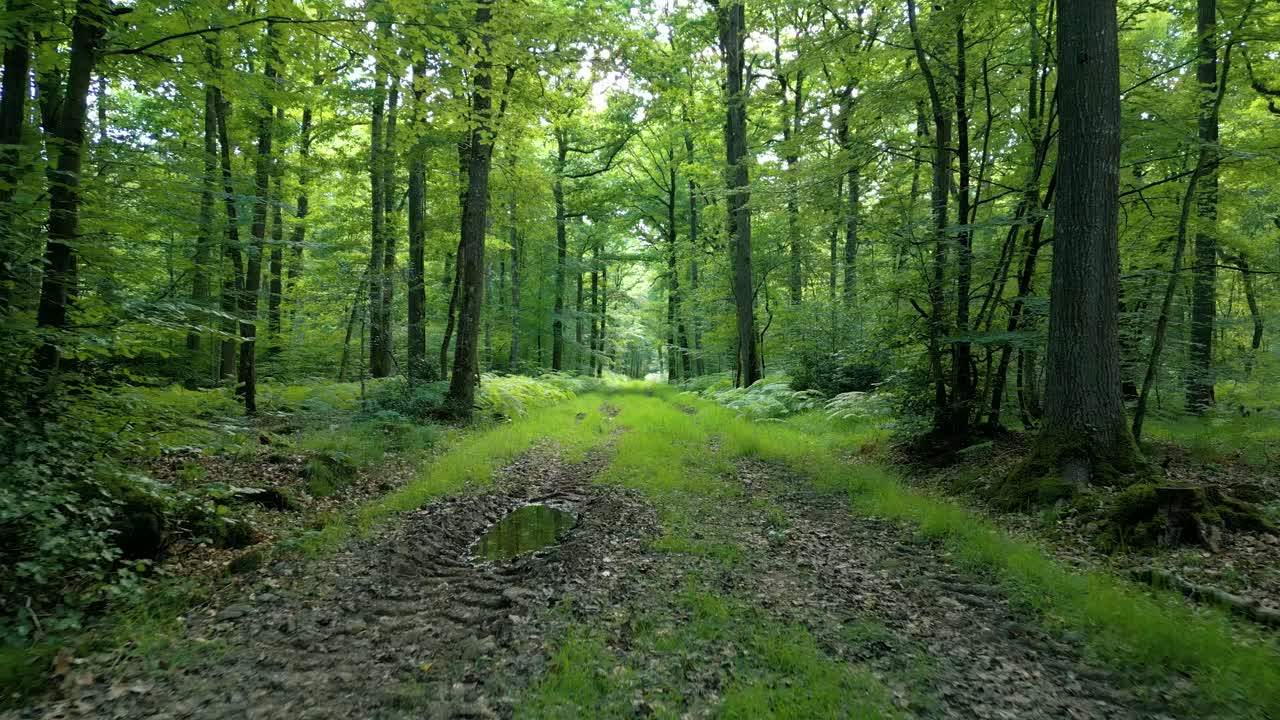 Premium stock video - 4k cinematic nature footage of a drone flying ...