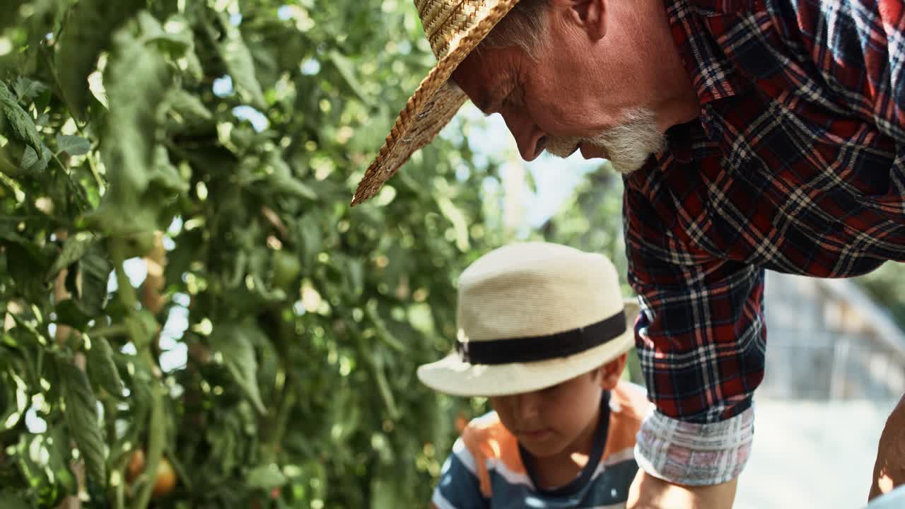 Premium stock video - Video of grandfather and grandson working ...