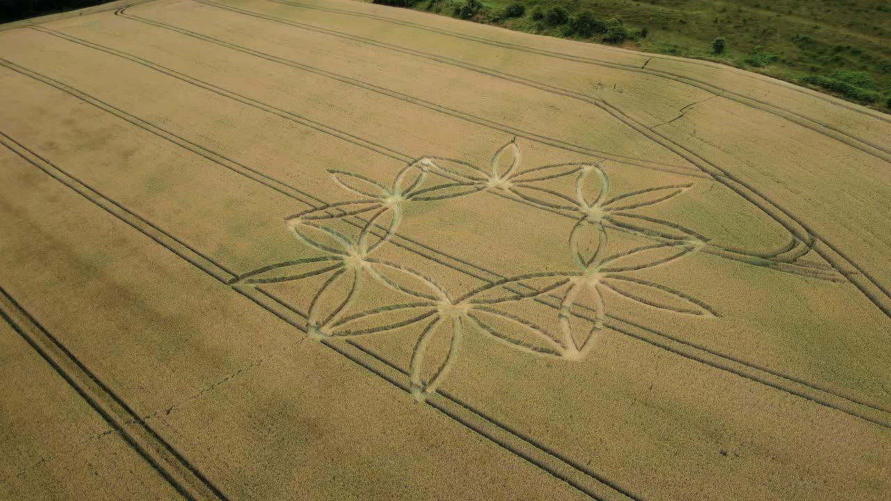Premium stock video - Crop formation in floral pattern on rural farmland