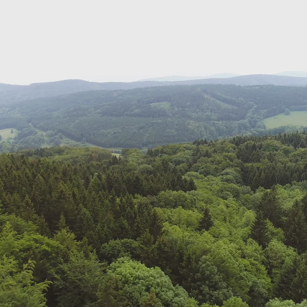 Free stock video - Flying over the beautiful forest trees landscape ...