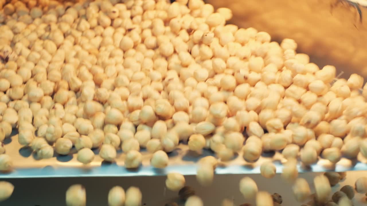 Premium stock video - The hazelnuts are sorted at the hazelnut ...