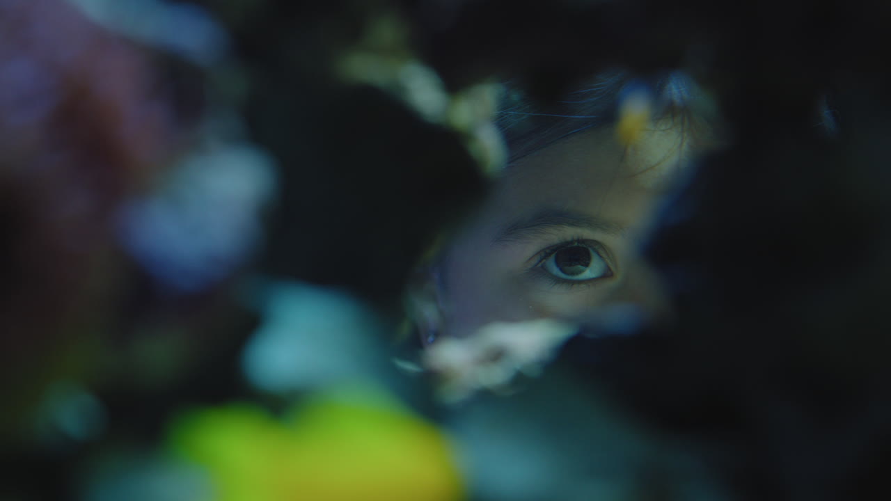 Little girl in aquarium looking at fish curious child watching colorful ...