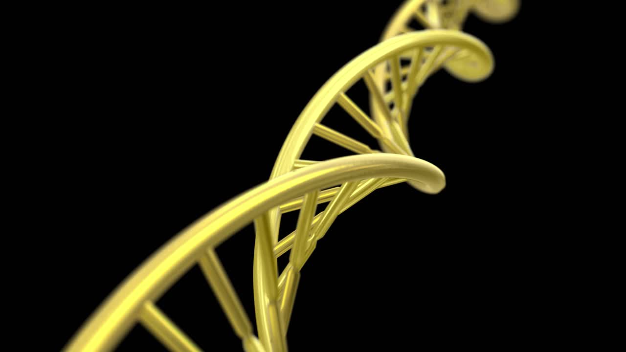 L'adn en rotation, l'rna en double hélice, la science lente, le ...