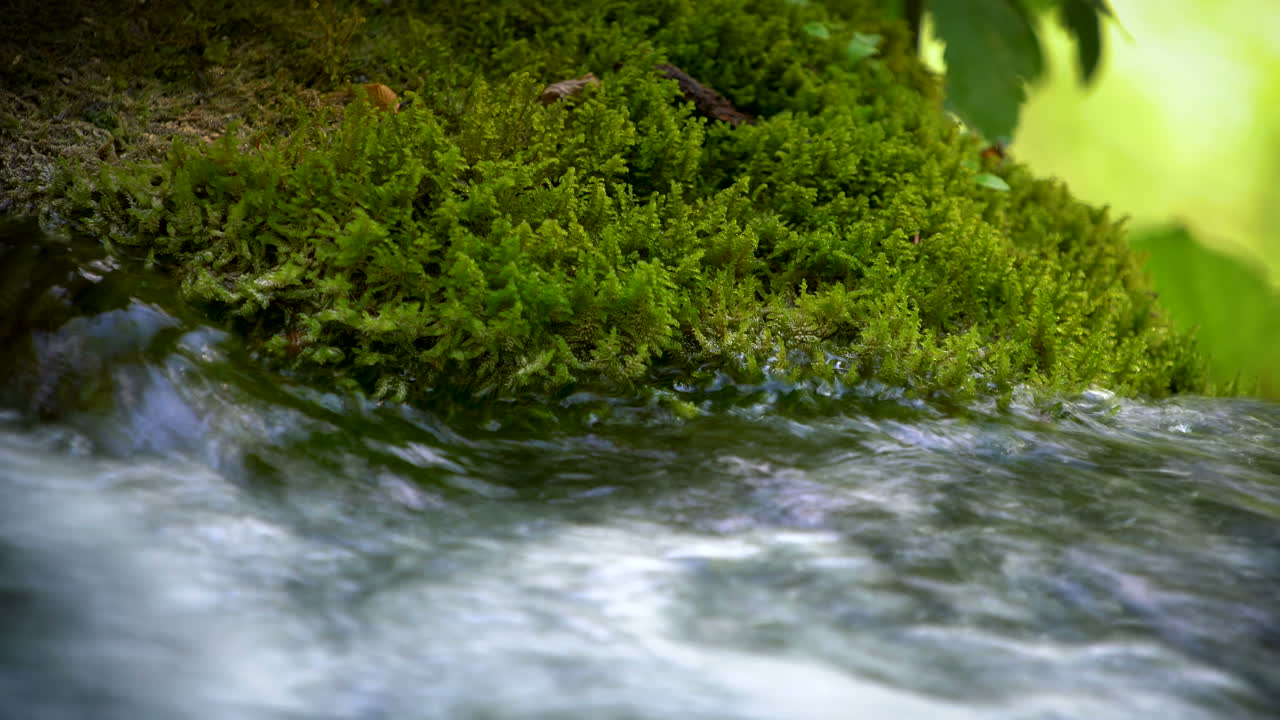 Premium stock video - Stream water flow in plitvice lakes, croatia.